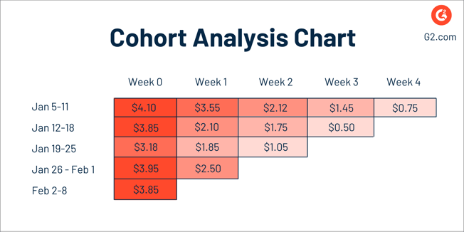 Cohort Analysis: An Insider Look at Your Customer's Behavior